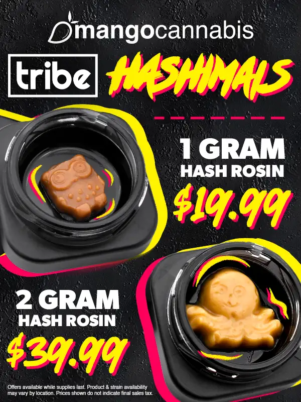 Home – Mango Cannabis – Marijuana Dispensaries in Oklahoma - Mango Cannabis