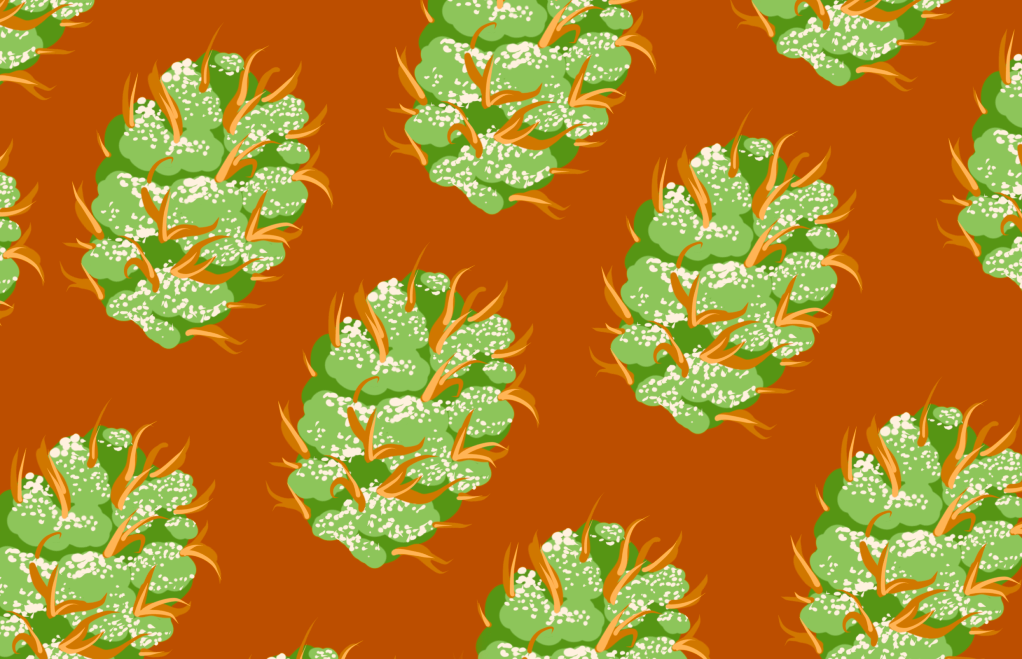 The GMO Strain Explained | Mango Cannabis