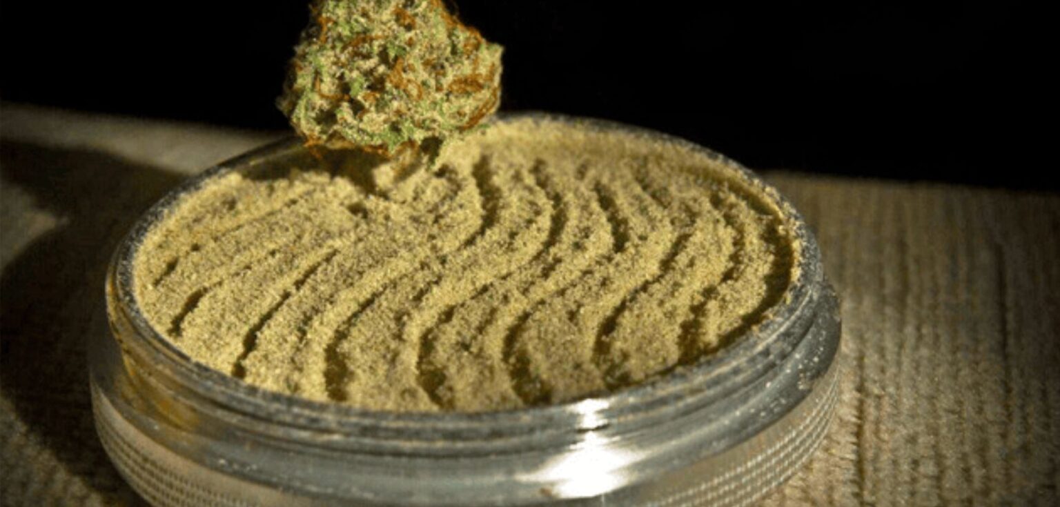 Kief Guide: Uses, Collection, and Where to Buy